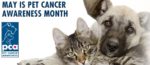 PET CANCER AWARENESS MONTH - Susan Wilking Horan